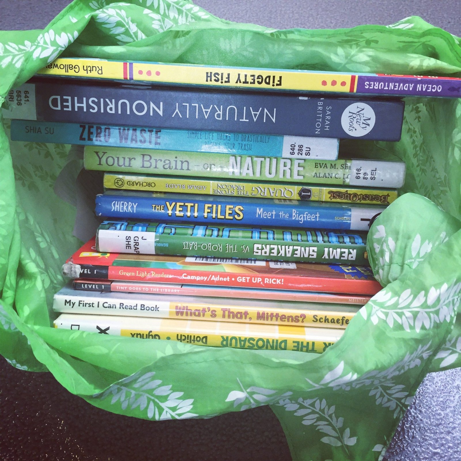 Zero Waste Living By Utilizing The Library - Nourishing Parenting