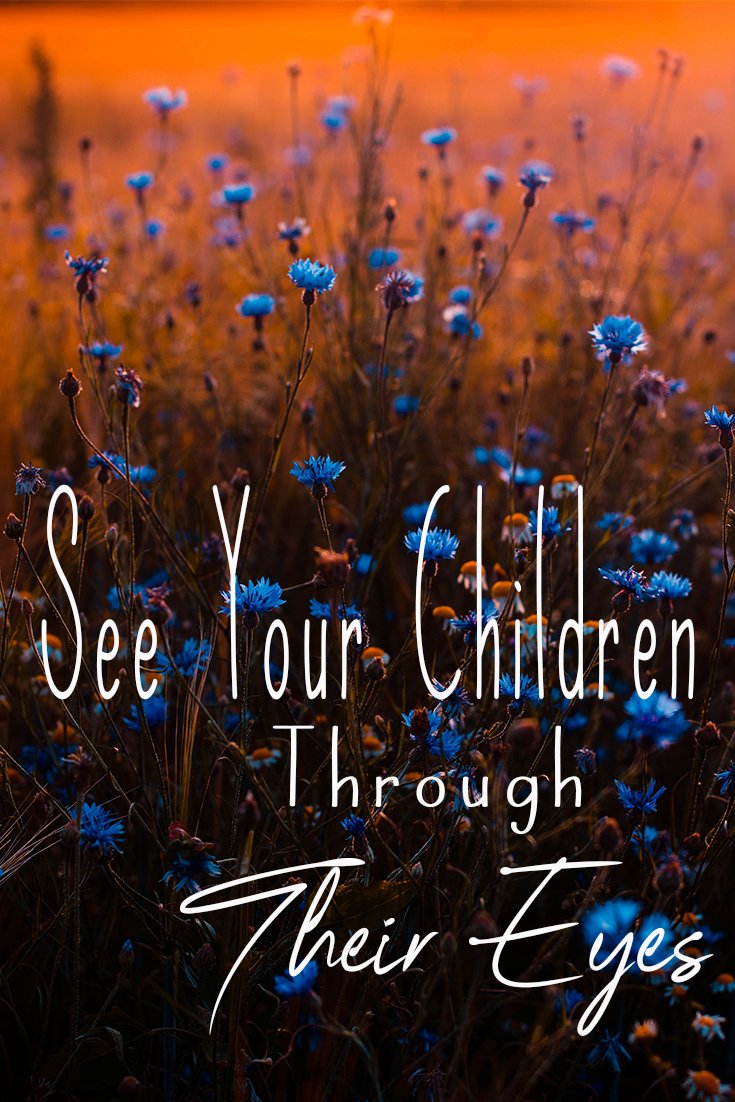 See Your Children Through Their Eyes - Nourishing Parenting
